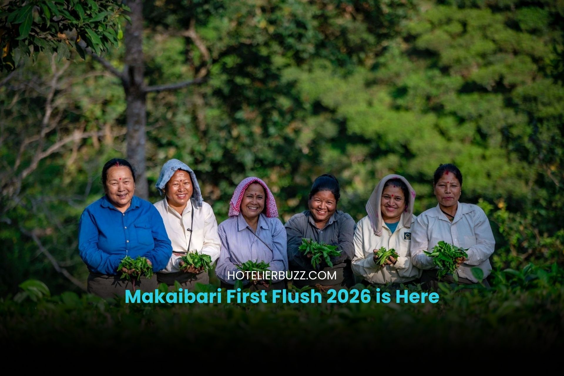 Makaibari First Flush 2026 Launches with Limited Allocation
